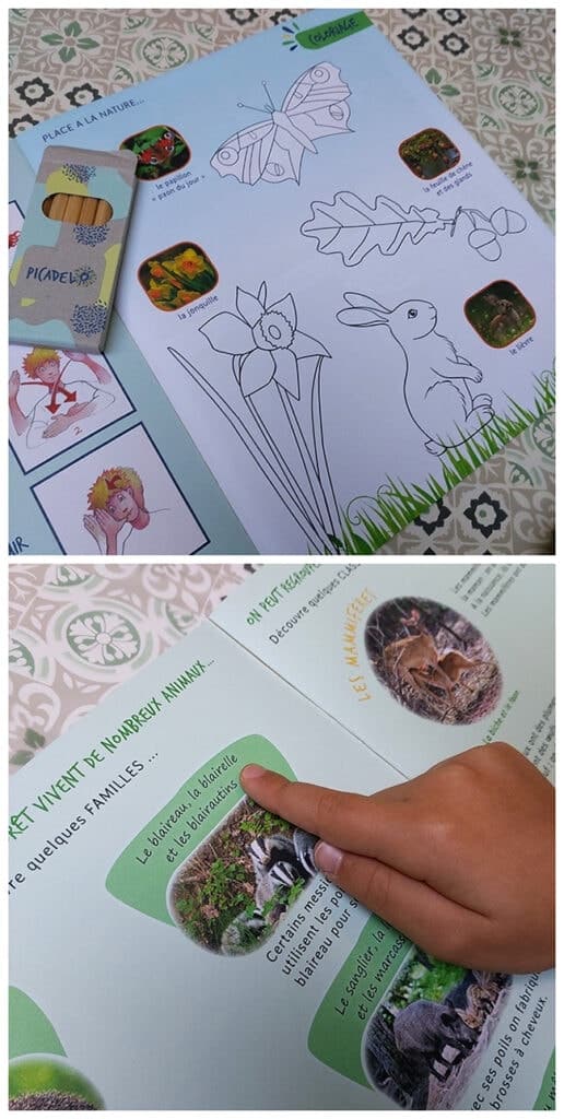 Box d'activités Picadelo pour les 3-7 ans : l'avis de nos familles ...